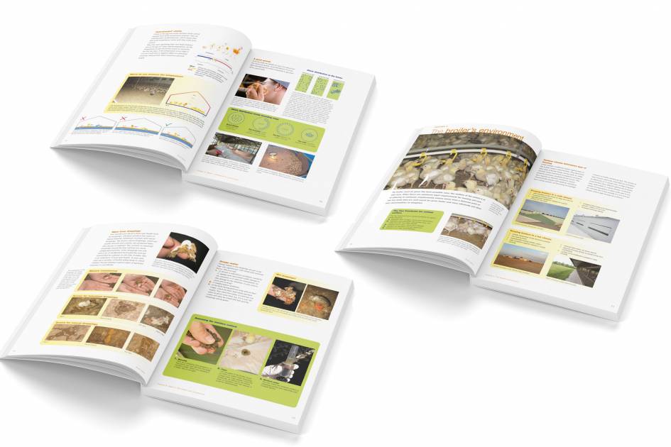 Book Broiler Signals | Broiler signals