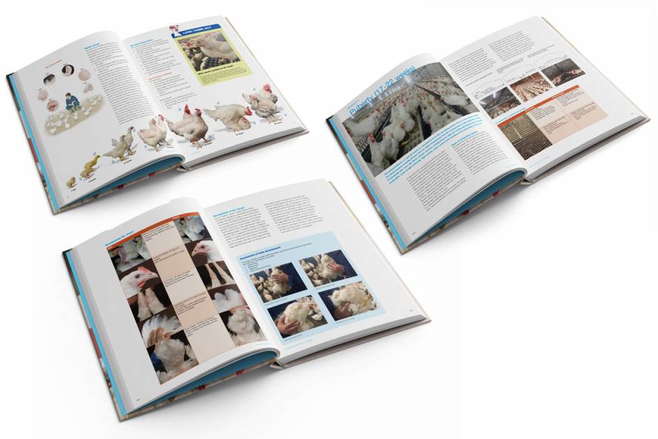 Broiler signals e-learning | Broiler signals